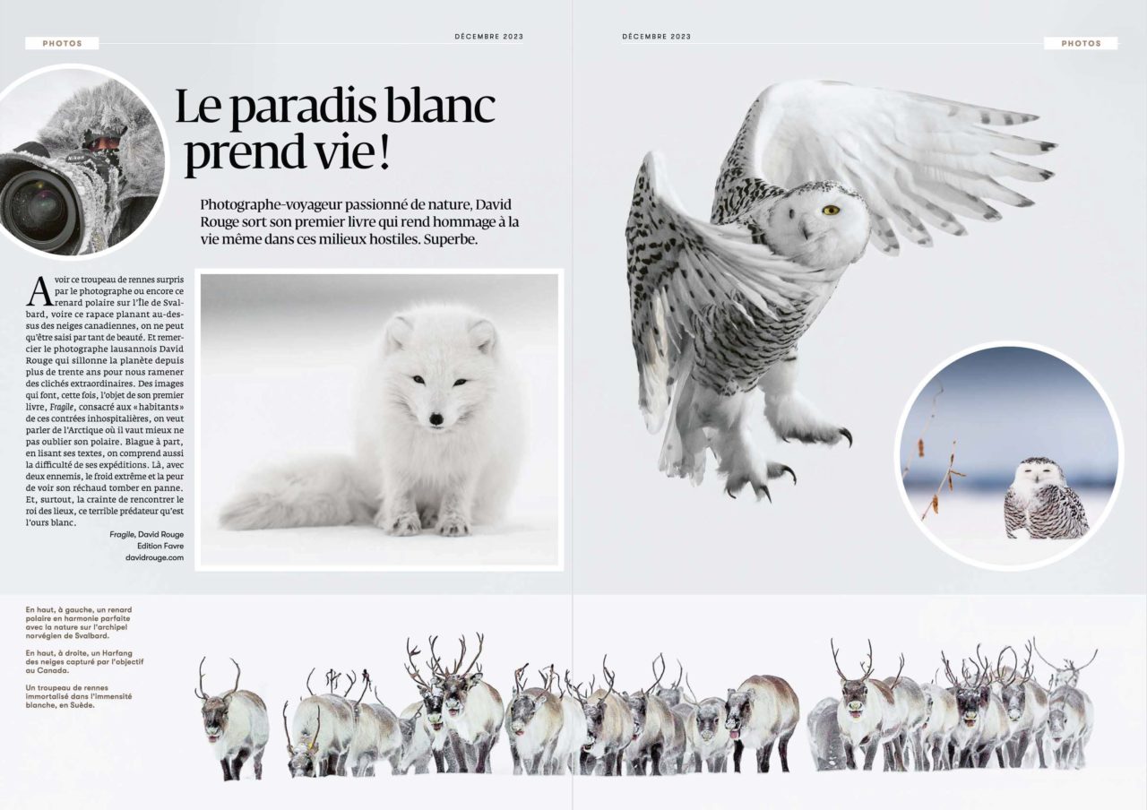 generation fragile | David Rouge